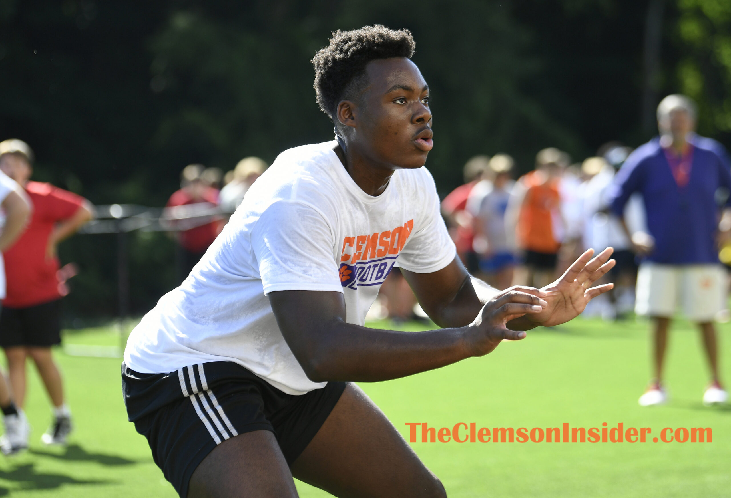 The Clemson Insider